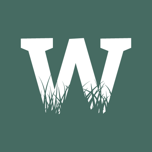 The Kinship Program | The Wilder Institute