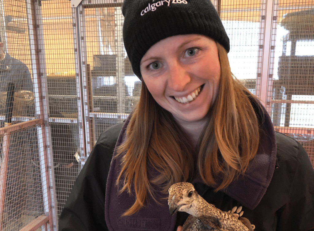 Meet Our Team | The Wilder Institute