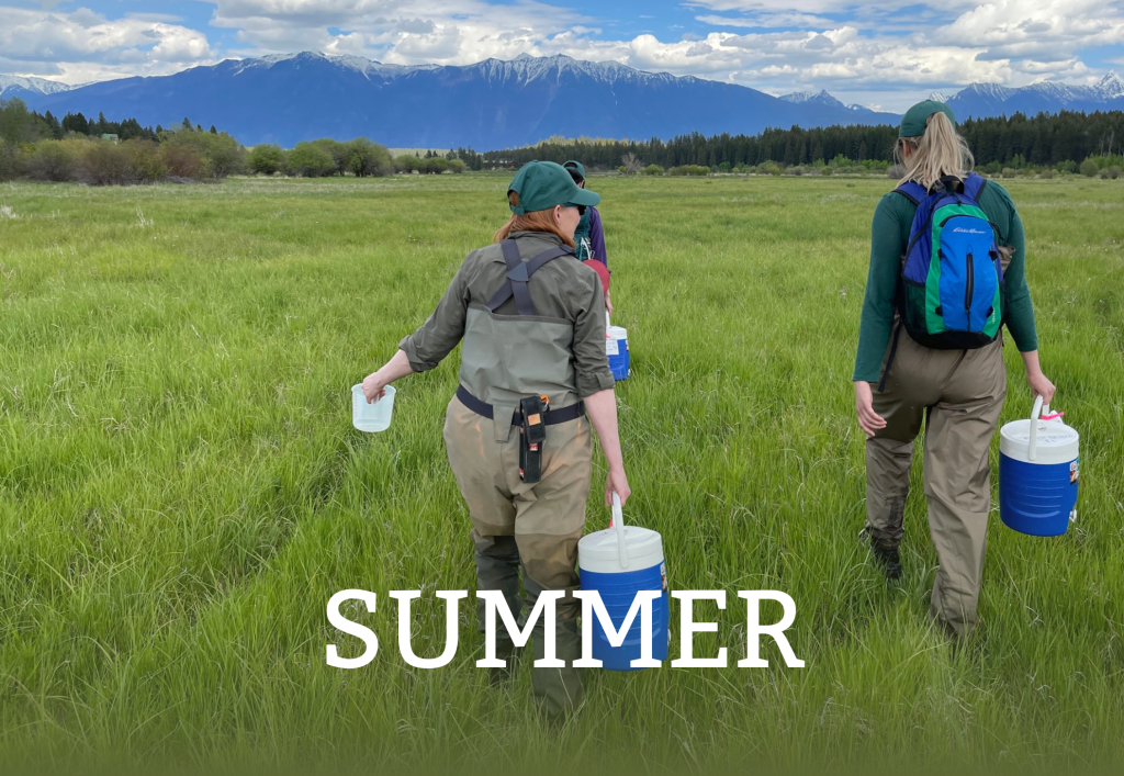 What a year of frog conservation looks like | Wilder Institute