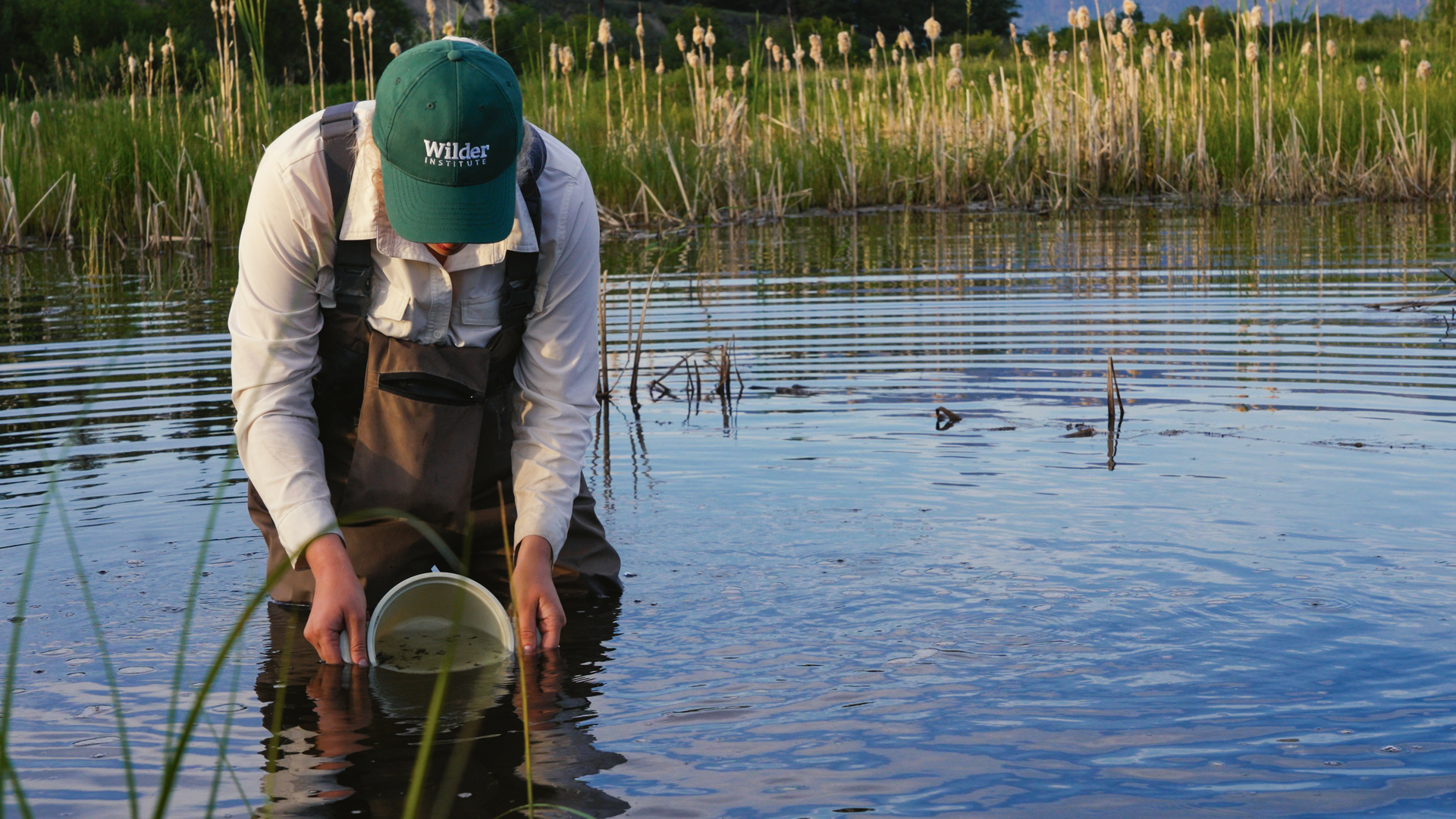 Wilder Canada Action Plan Debuts on the Global Stage at the World ...