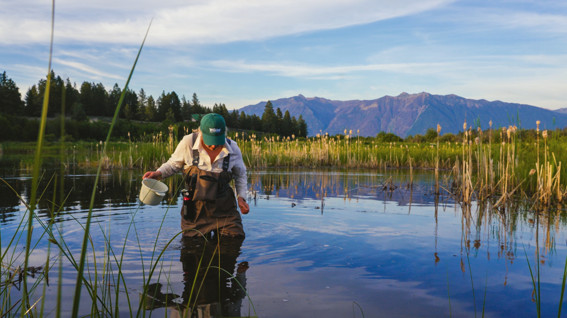 The Wilder Institute Supports Canada's Bold 2030 Nature Strategy and ...