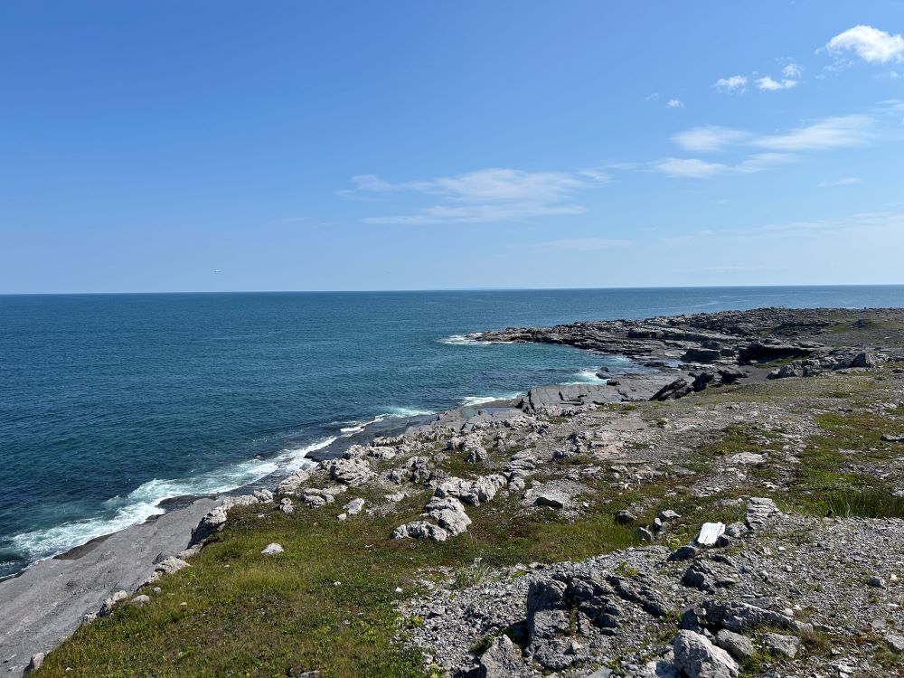A Fragile Ecosystem on the Edge: Safeguarding the Limestone Barrens of ...
