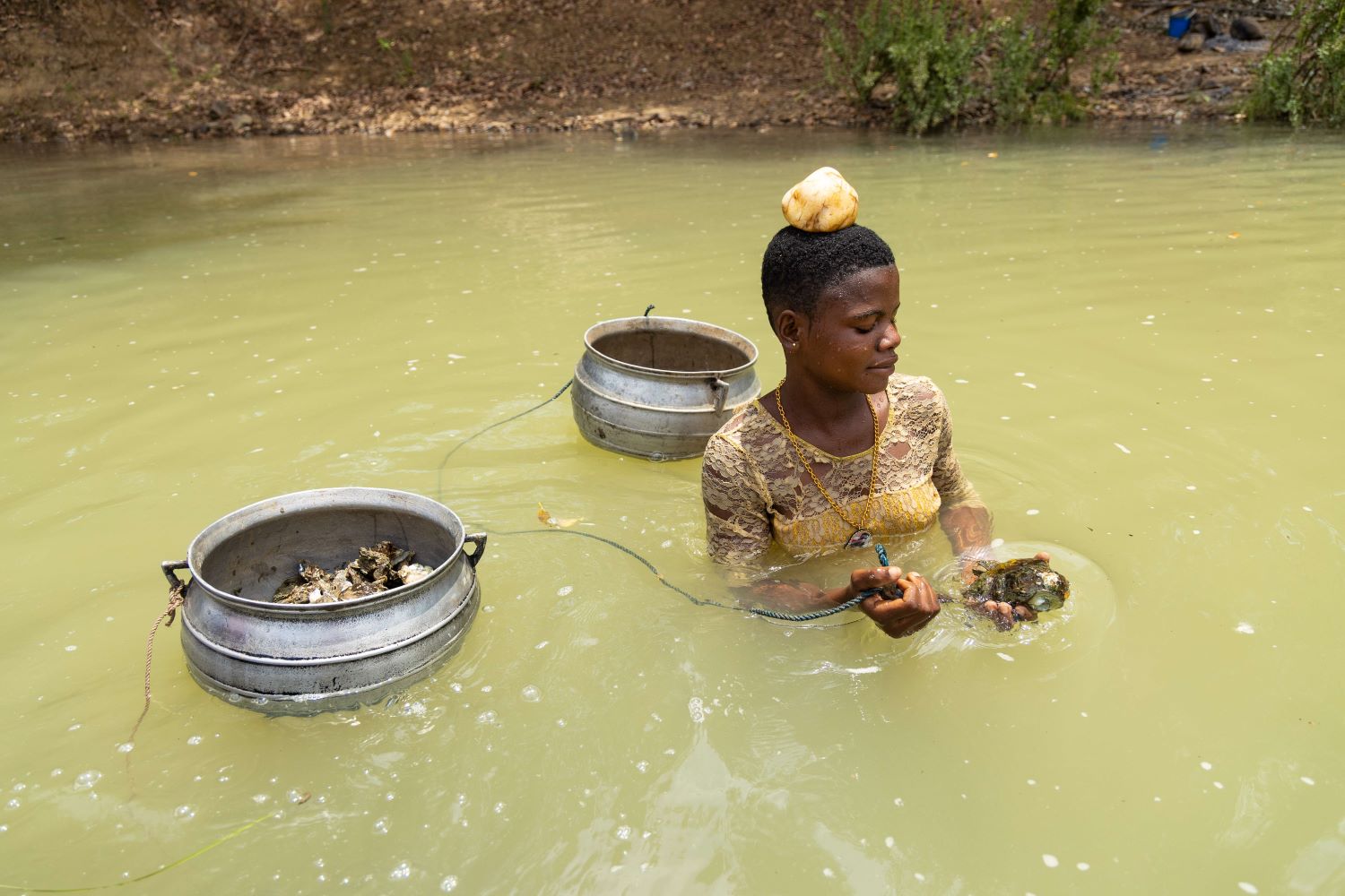 A Global Hub for Human-Centered Conservation | Wilder Institute